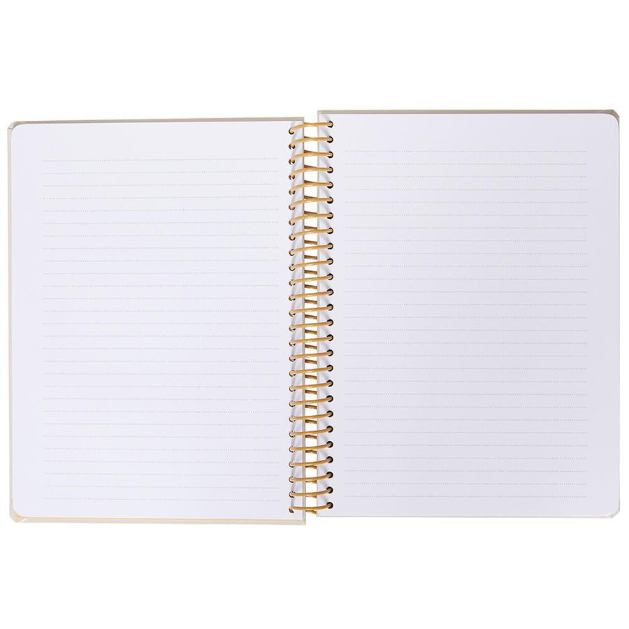 The Graphic Impact Collection – xo,Sienna